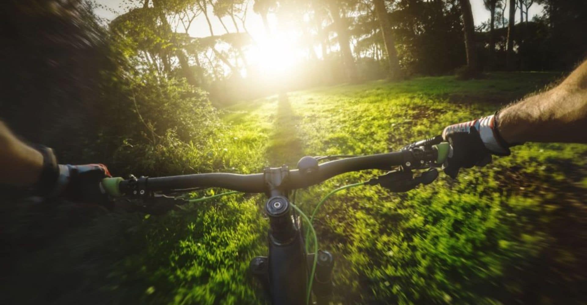 4 Reasons You'll Love Riding an Ebike – Recon Power Bike